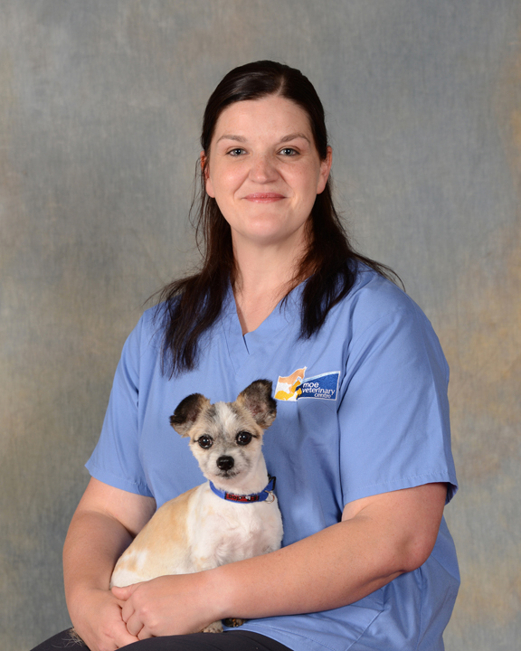 Dr. Jessica Webb - Moe Veterinary Centre